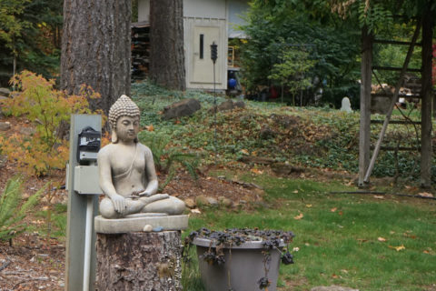 Clear Mountain Monastery | An Aspiring Buddhist Forest Monastery in the ...